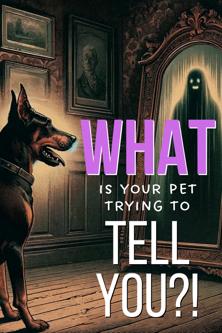 Can animals see ghosts? These unbelievable pet reactions will make you ...