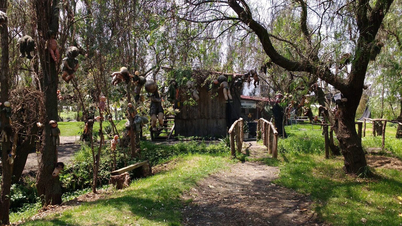 8 haunted and creepy forests & their spooky tales from around the world ...