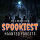 8 haunted and creepy forests & their spooky tales from around the world ...