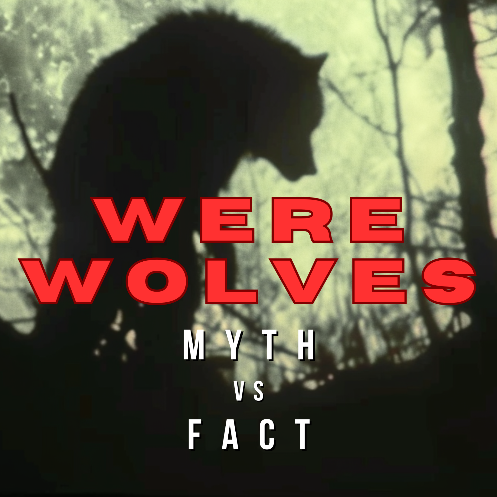 The wild and irresistible world of werewolves: What's myth and what's ...